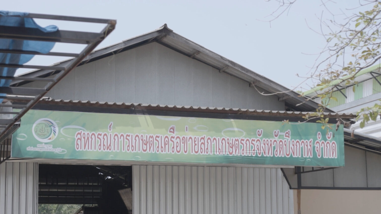 อยู่ดีมีแฮง : จากเศษไม้ยางพาราสู่ถ่านคุณภาพสูง - THECITIZEN.PLUS